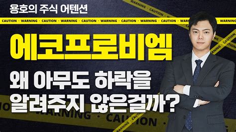 에코프로비엠 예상된 주가 하락 아직 조정이라 하기엔 작다 Youtube