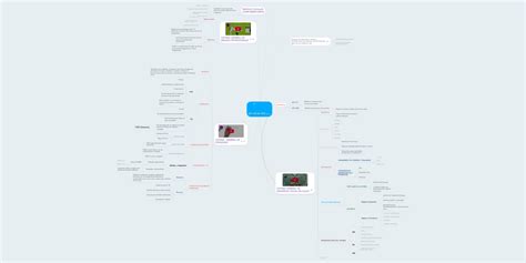 Ley 100 De 1993 Mindmeister Mapa Mental