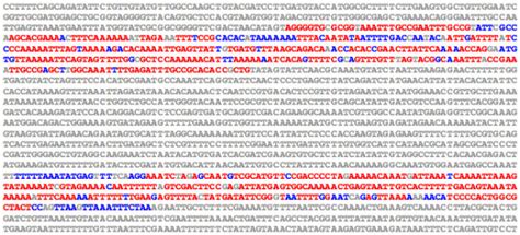 Evoprinterhd Repeat Finder Algorithm Identifies Repetitive Elements