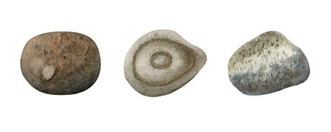 Lensemble De Galets Aquarelle De Pierres Est Réaliste Isolé Sur Fond