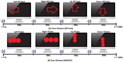 Experimentation Paradigm Timing Scheme Own Dataset Download