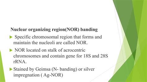 Cytogenetics Cytogenetics Abnormality Pptx