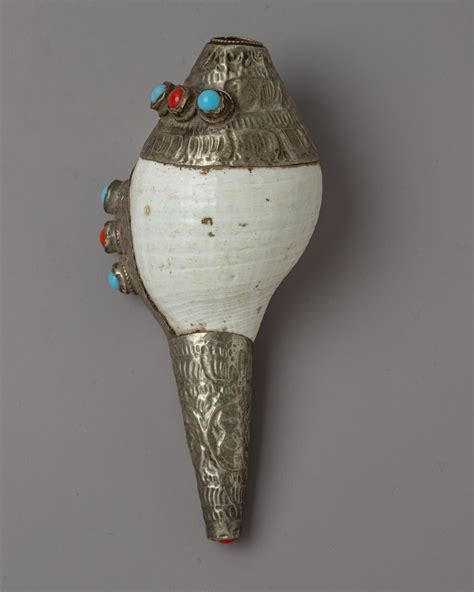 Natural Conch Sankha Echoing The Sounds Of Spirituality And Meditation Evamratna