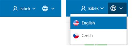SOLVED Display Language Icon In Navigation Bar Oracle Forums