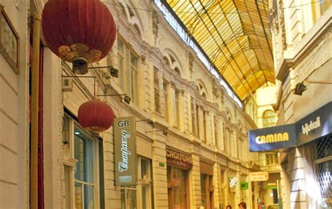 B365 Bucureștenii au comandat întâia oară Furnici în copac acum 80