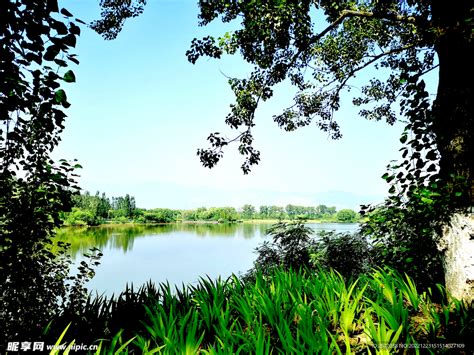 北京翠湖国家湿地公园摄影图自然风景自然景观摄影图库昵图网