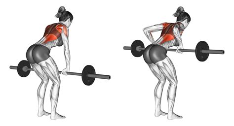 Best Types Of Barbell Row Variations With Pictures Inspire US