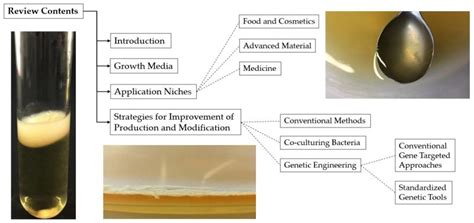 Polymers Mdpi On Linkedin Openaccess Review