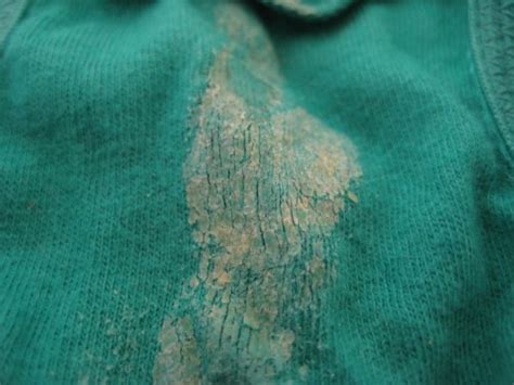 Thumbs Pro Dirtypants Tumblr Com Post 14610178067