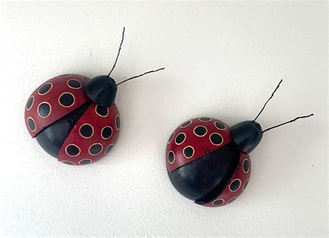 Ladybug Gourds Amador Gourd Artists