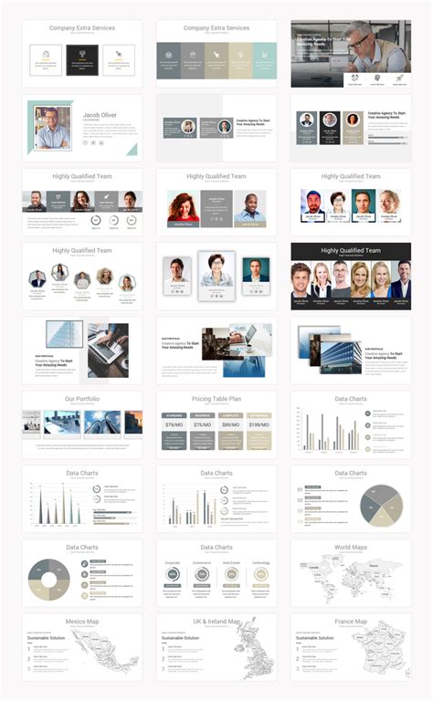 Business Project Powerpoint Template Templatemonster