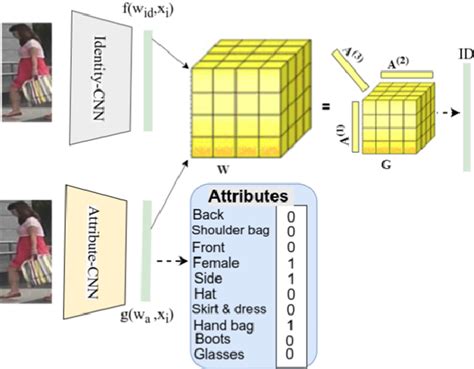 Figure 3 From Overview Of Deep Learning Based Pedestrian Attribute