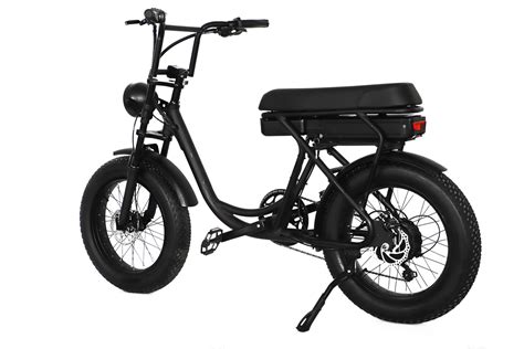 High Quality 500w Alloy Frame Women Electric Bike 20 Inch Fat Tire