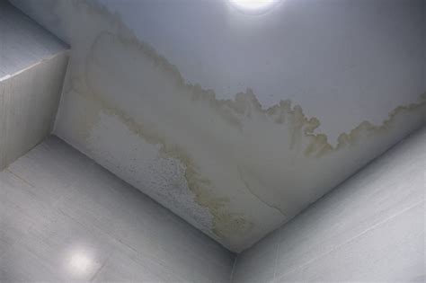 천장·벽에 맺힌 물방울 결로 방치하면 벌어지는 일 당신의 건강가이드 헬스조선