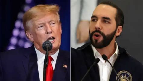 Bukele Reacciona A Las Acusaciones Contra Donald Trump Y Expresa Su
