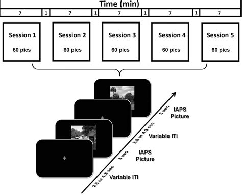 Figure 1 From Decoding Neural Representations Of Affective Scenes In Retinotopic Visual Cortex