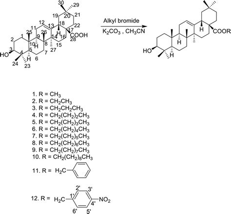 Synthetic Route Of Ester Formation Download Scientific Diagram