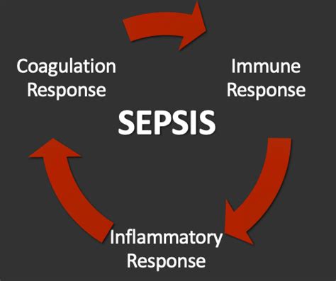 Sepsis Flashcards Quizlet