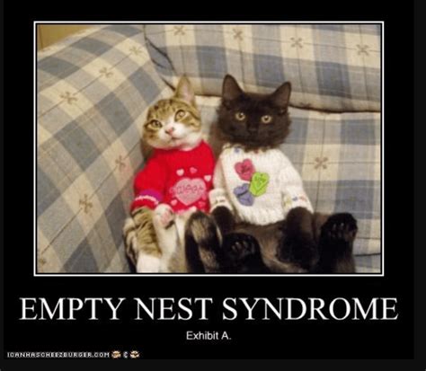 Empty Nest Quotes From Across The Internet Life Unfettered