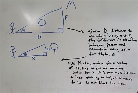Calculating Tree Height To Preserve View Rlandscapearchitecture