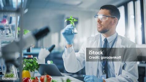 잘 생긴 남성 미생물학자 샘플 플라스크에서 건강한 녹색 식물을보고 첨단 기술 현미경 및 컴퓨터와 현대 식품 과학 실험실에서 일하는 의학 과학자 제약 산업에 대한 스톡 사진