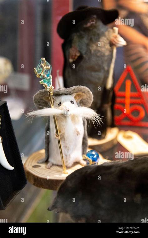 Taxidermy Mouse Dressed As A Wizard At The North Laine Bazaar Flea