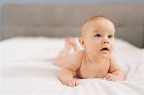 Naked Lying Stomach Stock Photos Free Royalty Free Stock Photos
