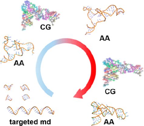 Ribonucleic Acid Folding Prediction Based On Iterative Multiscale