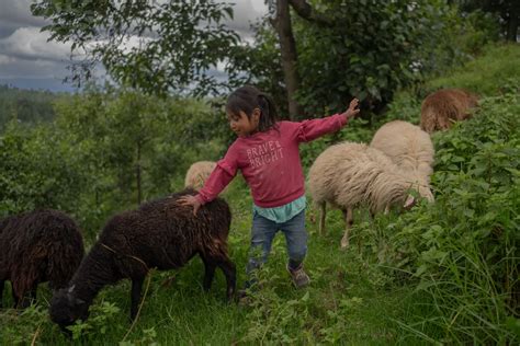 How The Climate Crisis Fuels Gender Inequality