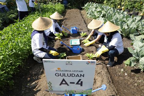 Kembangkan Urban Farming BRI Peduli Inspirasi Bertani Di Kota BRInita