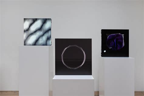 Algorithmic Evolution Verse