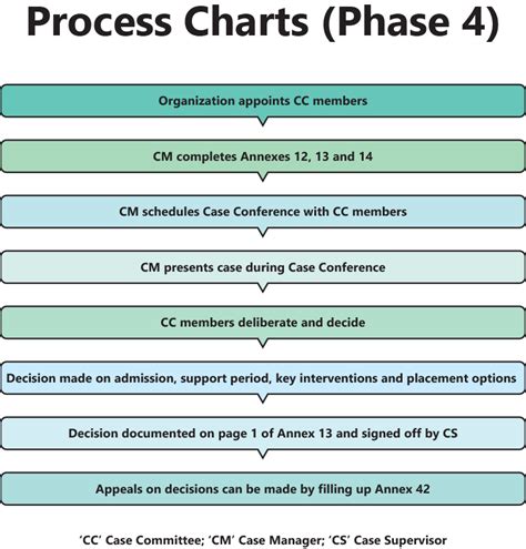 Case Management Workflow