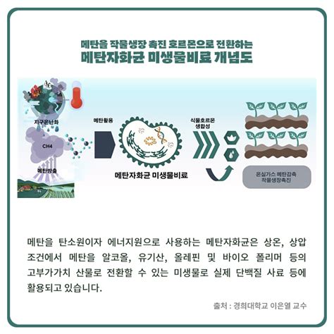온실가스를 작물 성장에 활용하는 비료로 만든다 Sciencetimes