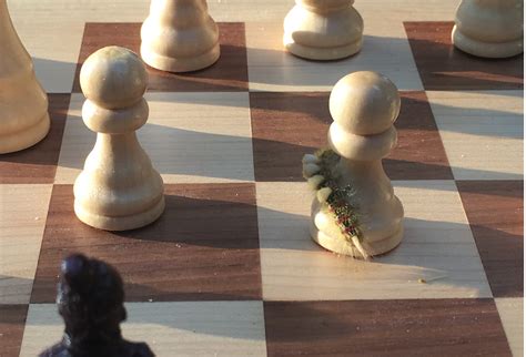 Card Randomizer Random Coping Chess