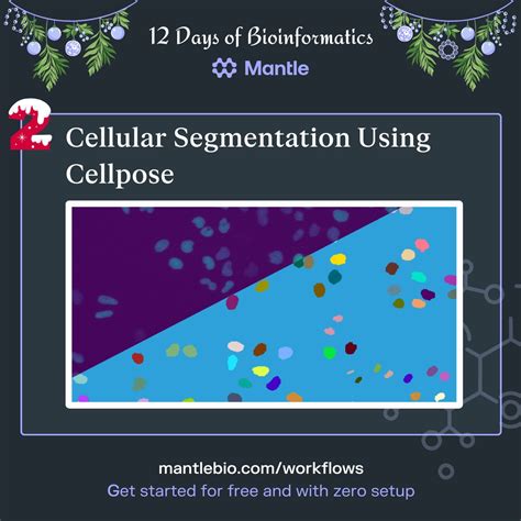 2️⃣🔬 On The Second Day Of Bioinformatics Were Celebrating Cell Segmentation With Cellpose