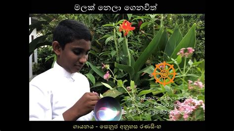 මලක් නෙලා ගෙනවිත් සෙනුජ අනුහස රණසිංහ Youtube