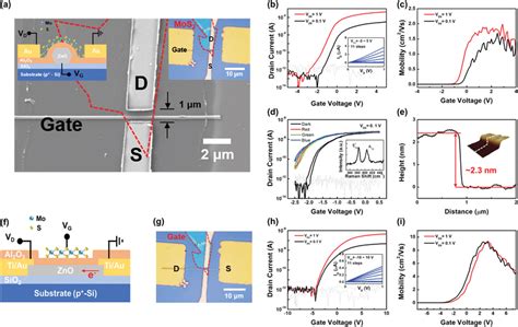 A Scanning Electron Microscope Image Schematic Cross‐section Inset