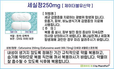 팜포트 세실정250mg 제이더블유신약 약품정보 복약안내문 항생제세파계 네이버 블로그