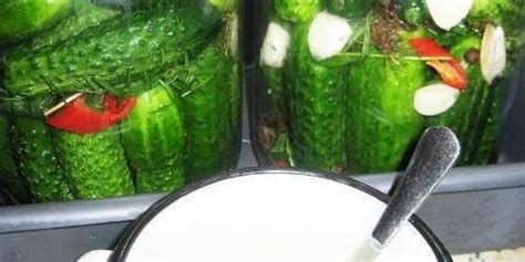 Бочковые огурцы в банке – рецепт с фото, как засолить хрустящими