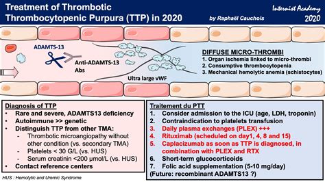 Itp Immune Thrombocytopenia Purpura Causes Symptoms A