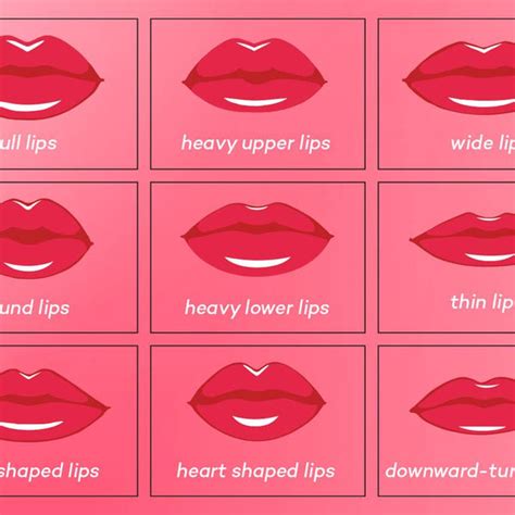 Lip Chart