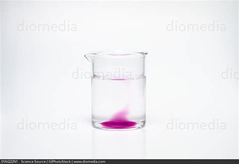 STOCK IMAGE BT0830 01AQ22N1 Science Source Search Stock Photos Images Pictures