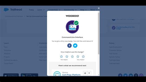 Command Line Interface Salesforce Youtube