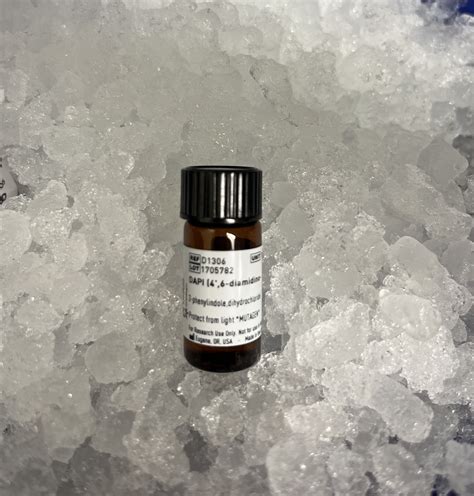 Great Dapi Dye For Dna Staining Kit Reagent Review