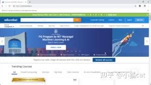 Selenium Webdriver Robot