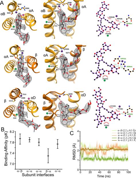 Subunit Specific Properties Of Ivermectin Binding A A Select Set Of