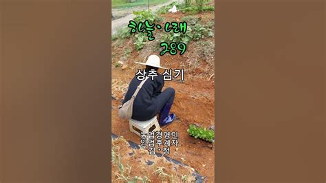 상추심기 삽질입니다 밀양 하늘아래289 단장면 산림경영 임업 농업 Youtube
