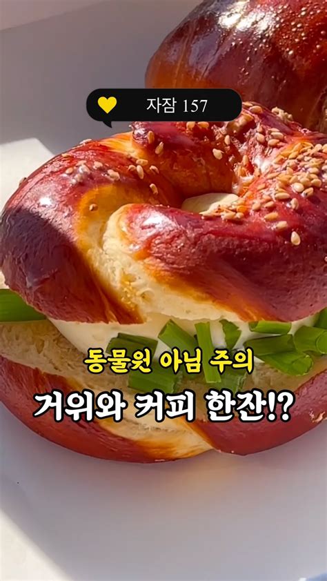먹토끼🐰 윤슬이 보이는 리버뷰 카페 커피 맛보다 윤슬에 취하는 곳 발견 북한강 뷰와 맛있는 베이커리 감성 가득한 루프탑까쥐 주말 드라이브 코스로 딱 좋은 가람