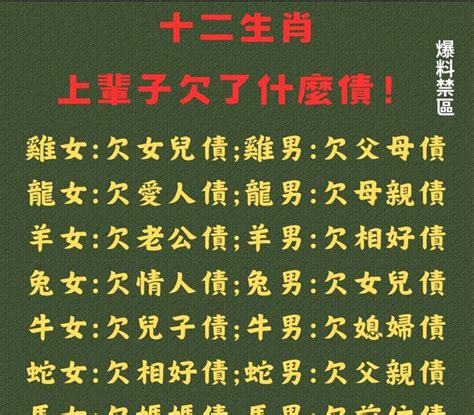 十二生肖上輩子欠了什麼債超準 FUNTBOX