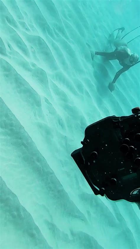 Ceo Of The Ocean Shangerdanger Tiktok Watch Ceo Of The Oceans